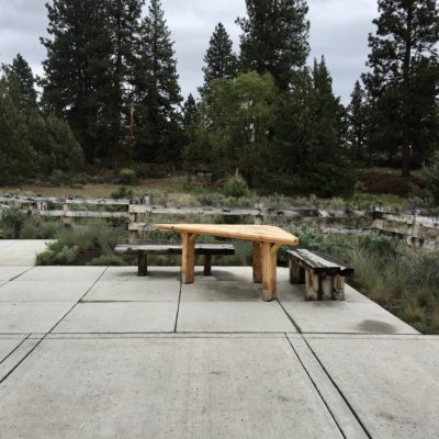 Accessible Route of the Week: Riley Ranch - Oregon Adaptive Sports