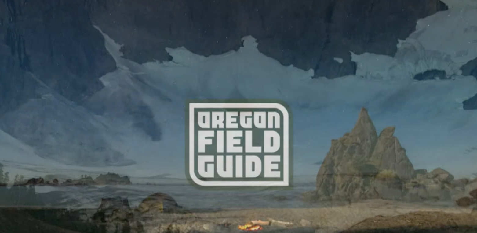 Oregon Field Guide: Adaptive Skiing - Oregon Adaptive Sports